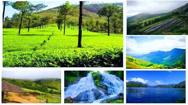 Thathwamasi Tour's